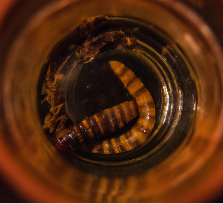 El gusano del mezcal | NEW YORK DIARIO